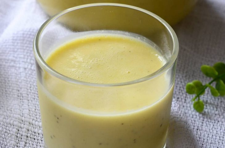 13 receitas de batida com vodka para animar o seu dia