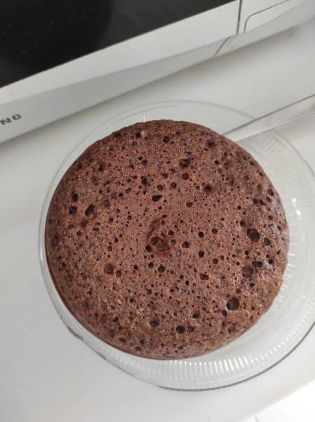 Bolo de caneca com Whey - Receiteria
