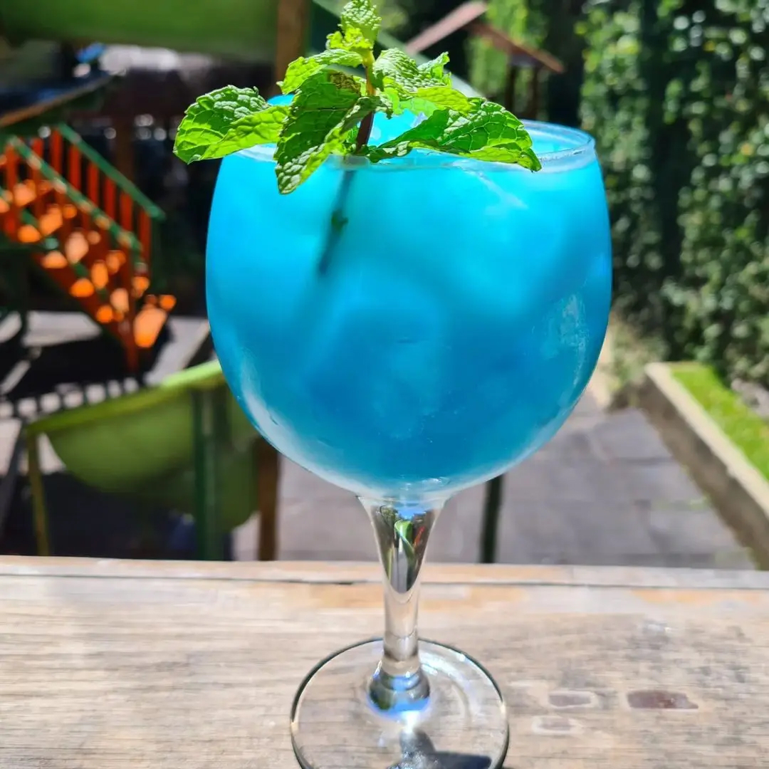 Drink corote de blueberry - Receiteria