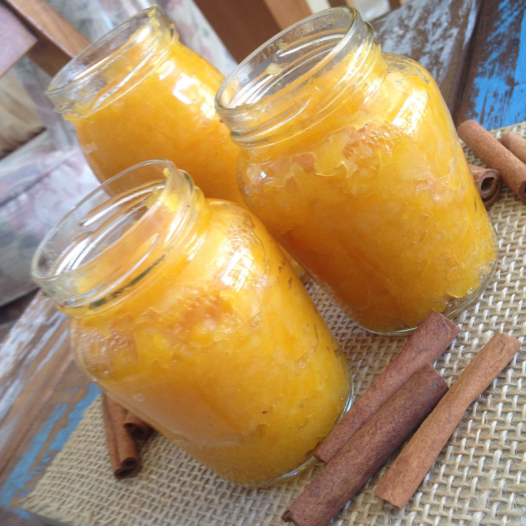 Geleia de damasco sem açúcar - Receiteria