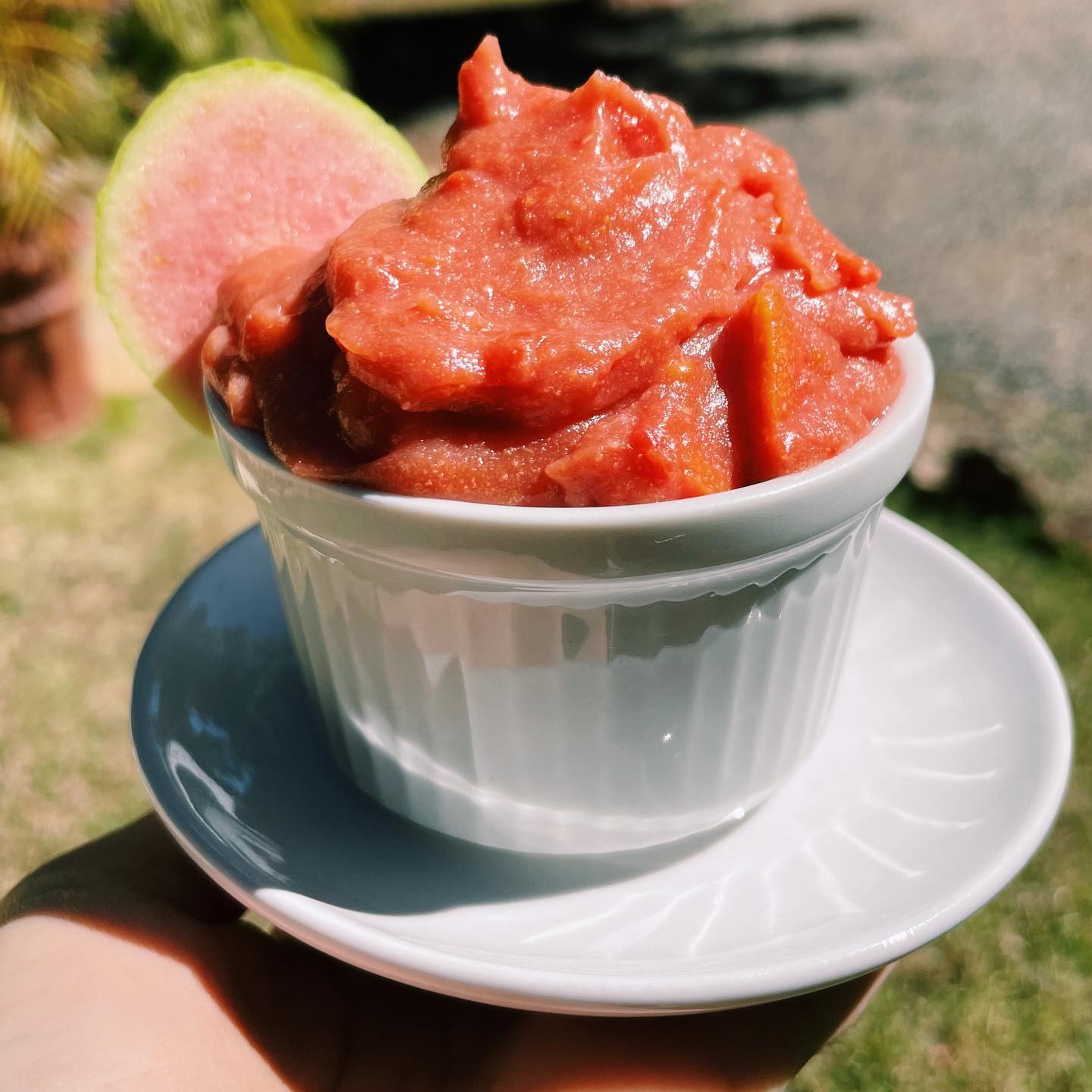 Goiabada sem açúcar - Receiteria