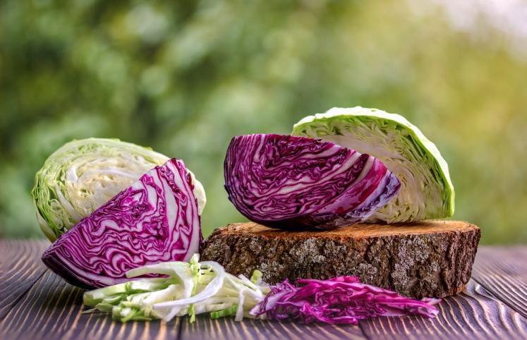 50 receitas com repolho que vão mostrar o melhor dessa verdura