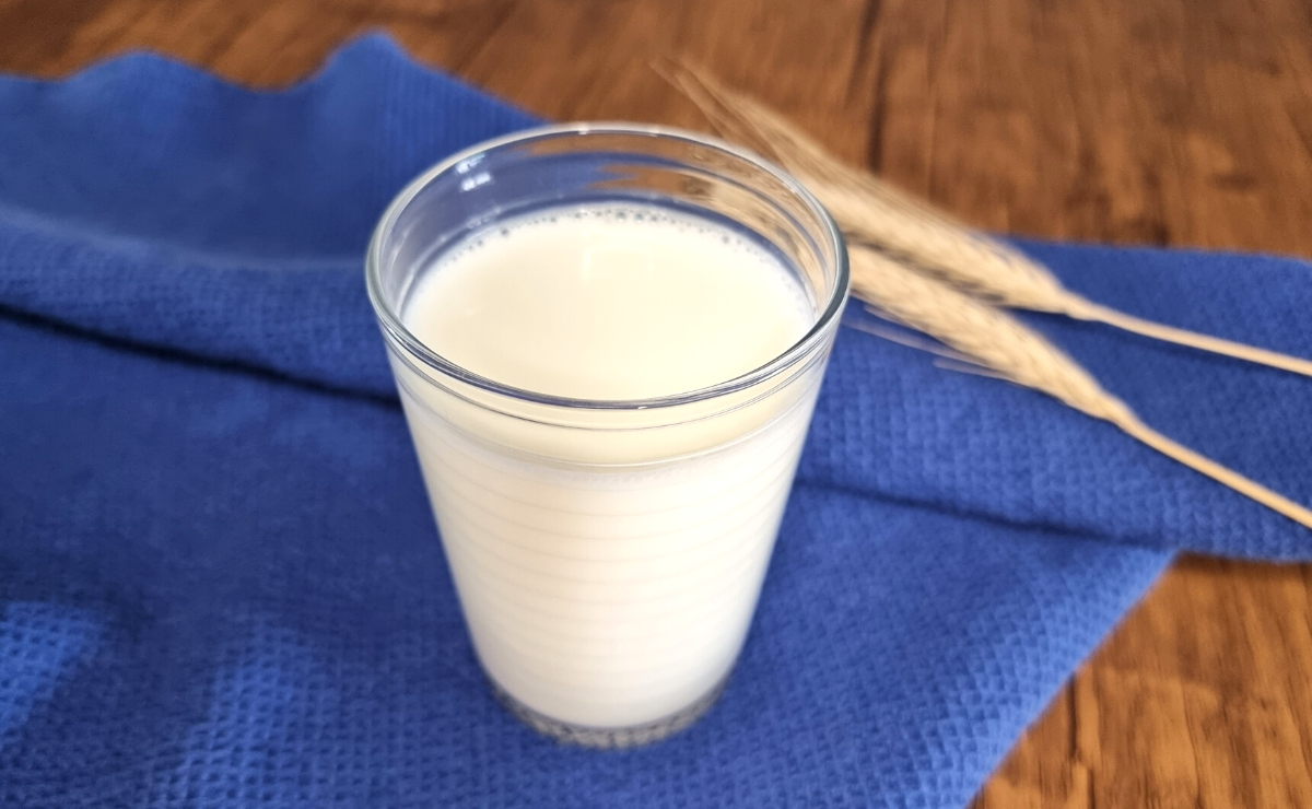 Leite de soja - Receiteria