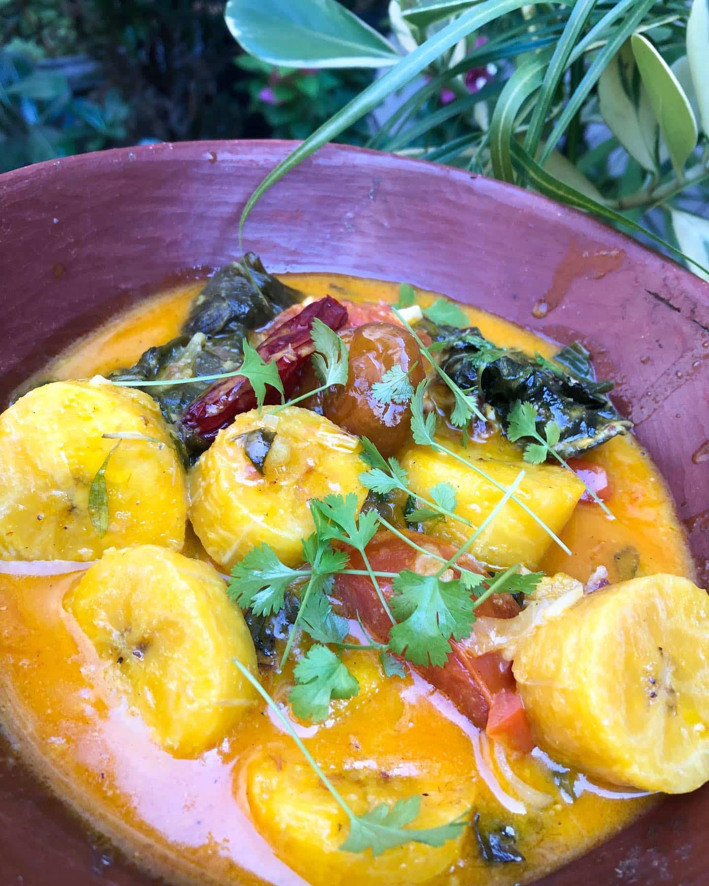 Moqueca de banana-da-terra - Receiteria