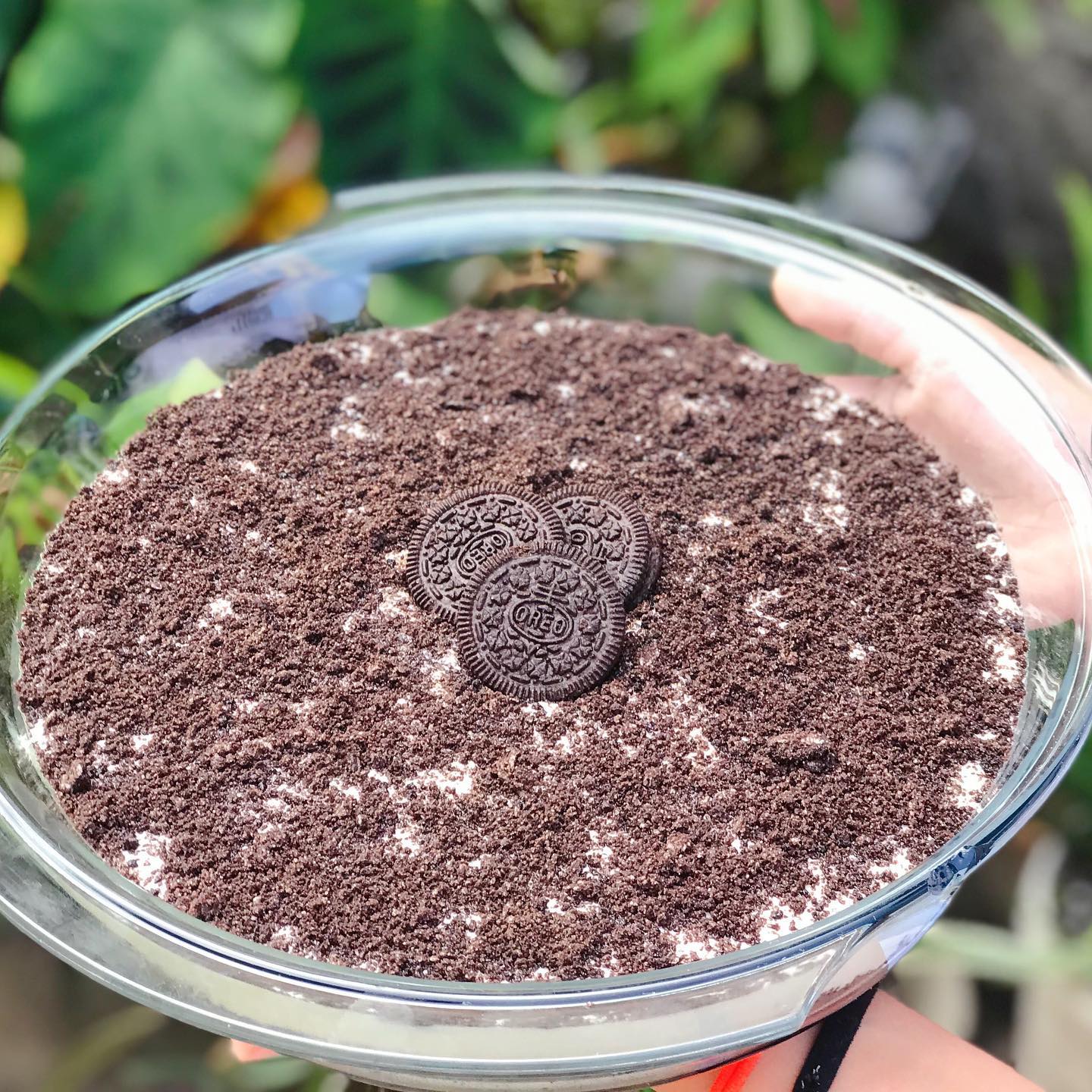 Mousse de limão com Oreo - Receiteria