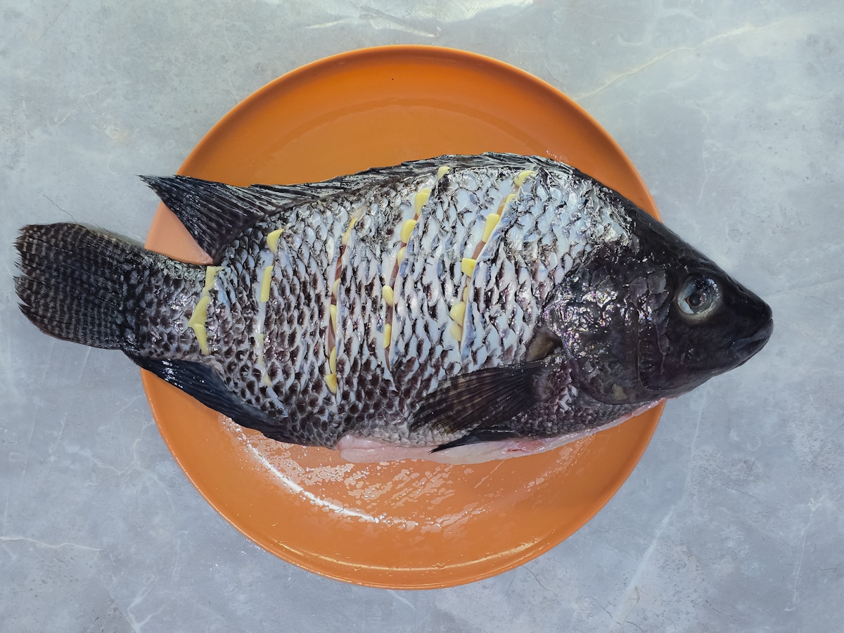 Peixe assado no forno recheado - Receiteria