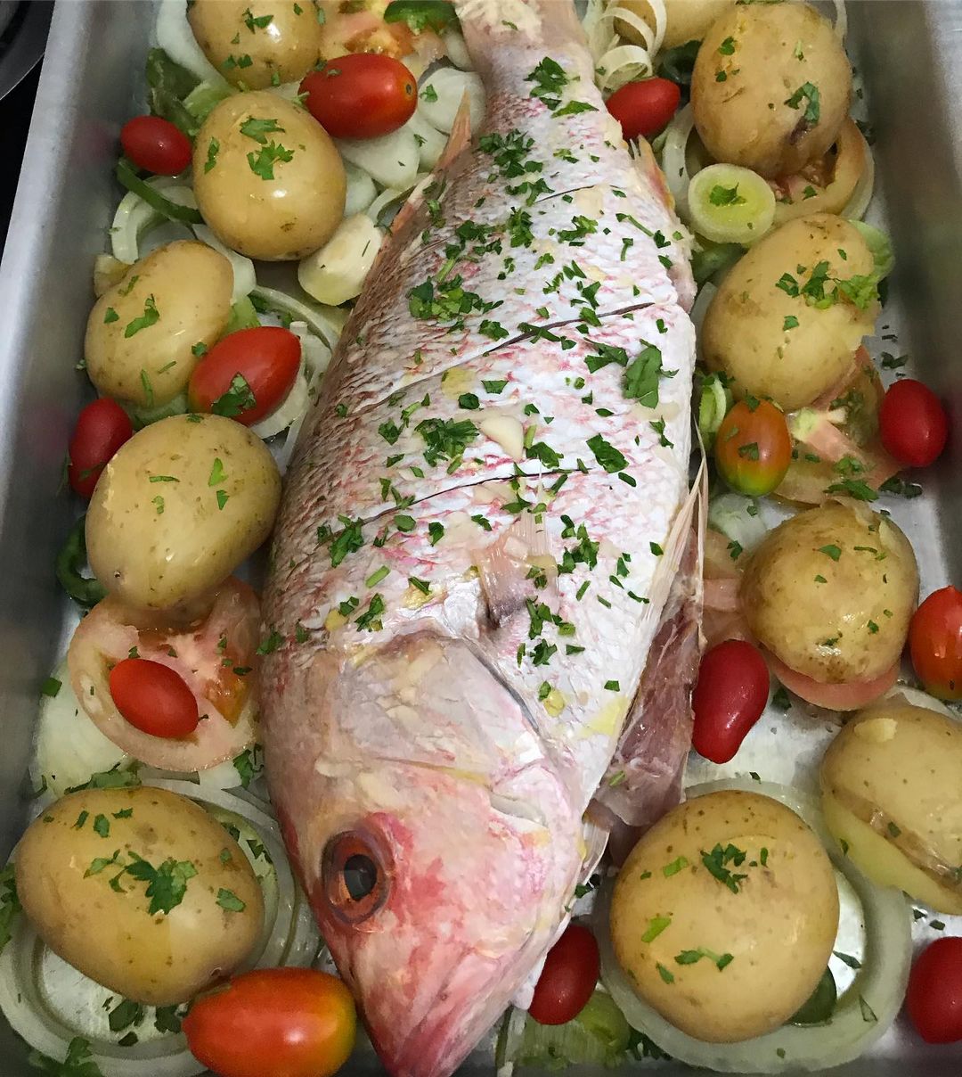 Peixe Pargo Vermelho