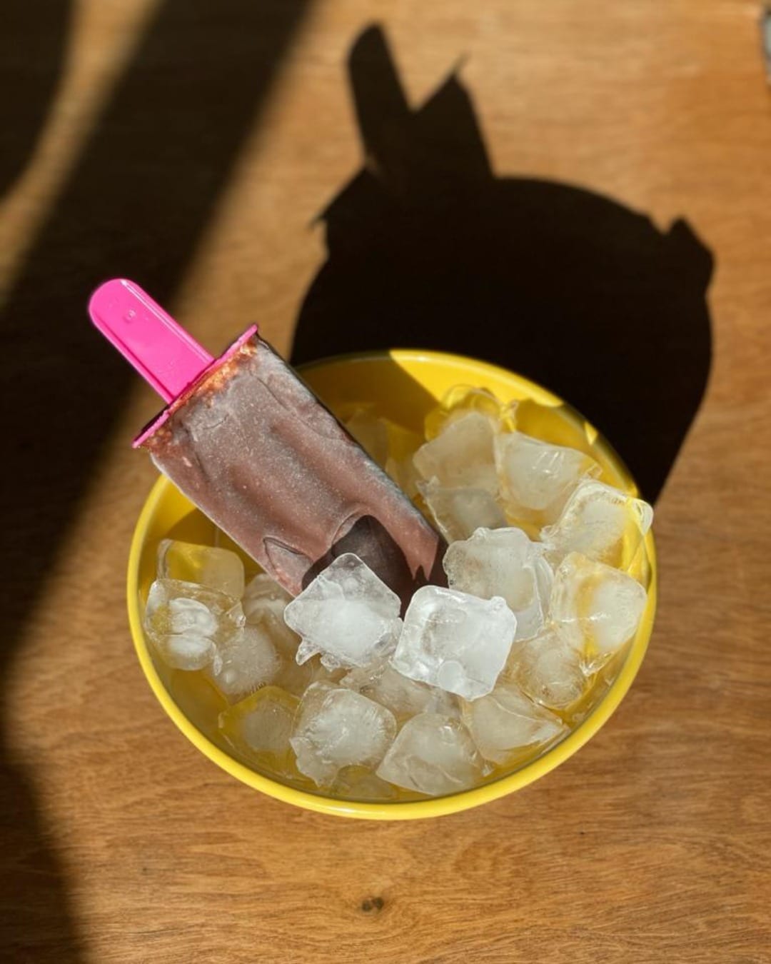 Picolé de coco com chocolate - Receiteria