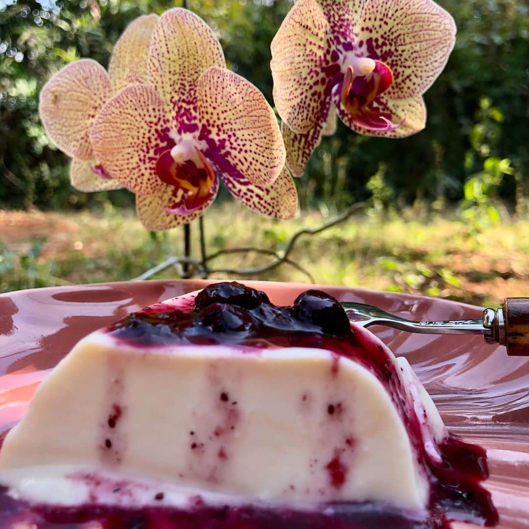 Pudim de maria-mole com calda de frutas vermelhas - Receiteria