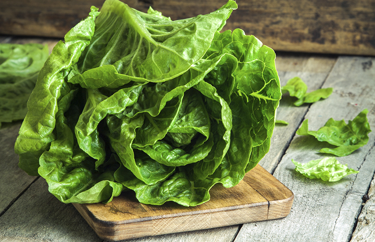 8 receitas com almeirão para não errar no preparo dessa verdura