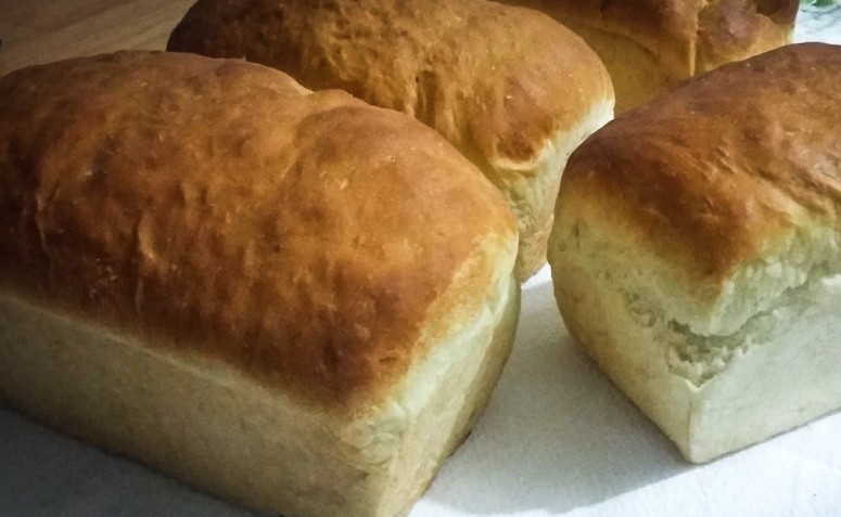 Tânia Carvalhido: 7 receitas com cará-moela que são saborosas e incríveis