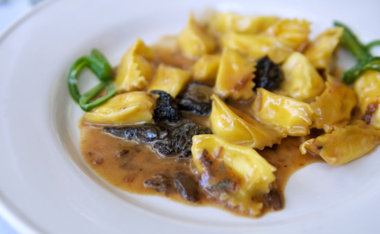 Tânia Carvalhido: 7 receitas de agnolotti para experimentar esta massa ...