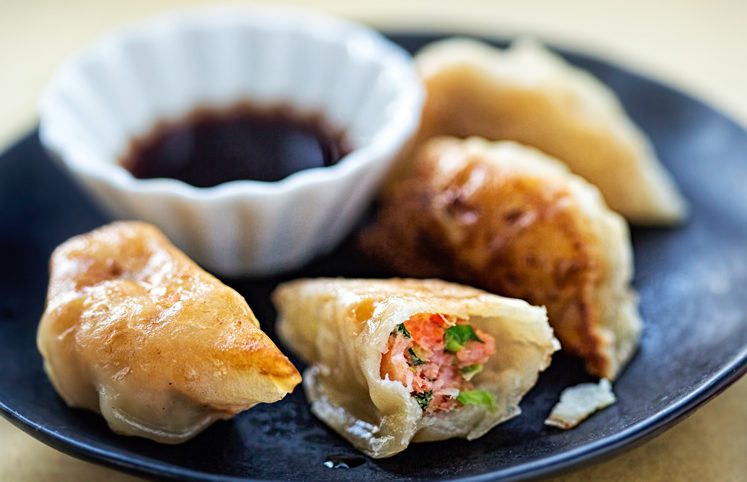 7 receitas de guioza para sair da zona de conforto e aproveitar