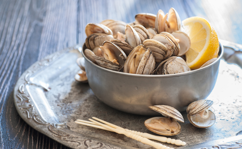 7 receitas de lambreta para sentir o delicioso sabor do mar