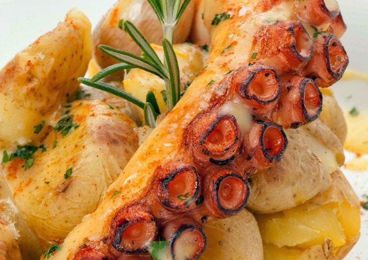 40 receitas com polvo para você impressionar em casa