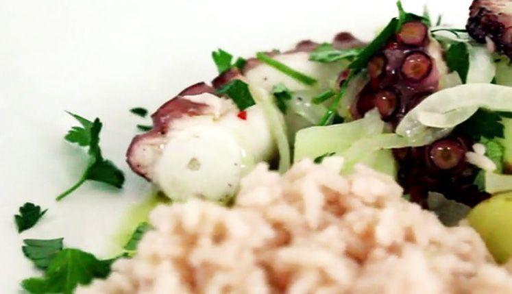 40 receitas com polvo para você impressionar em casa