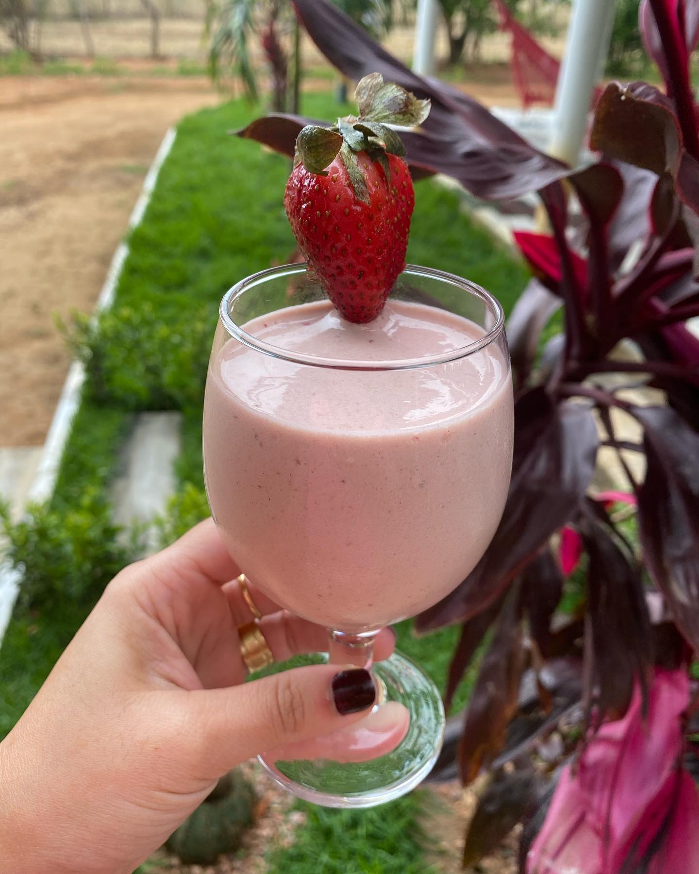 Shake proteico de morango - Receiteria